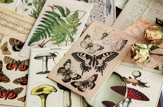 Vintage Nature Postcards by MO•Card – Wintertime Crafts